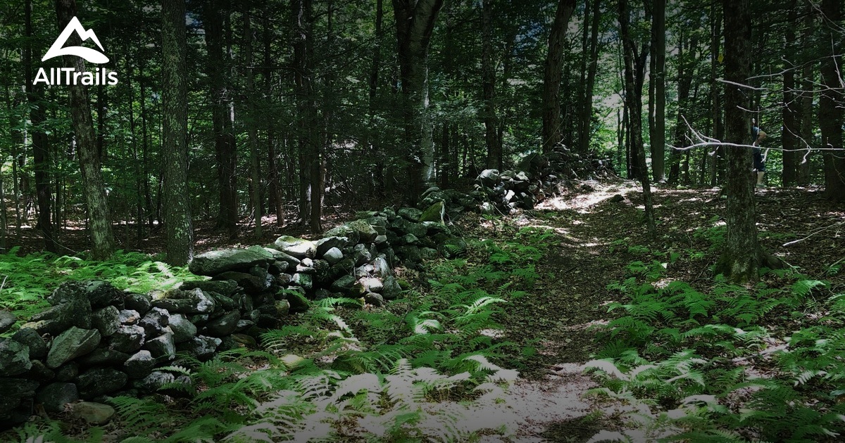 I migliori sentieri per ciaspolate in Whately | AllTrails