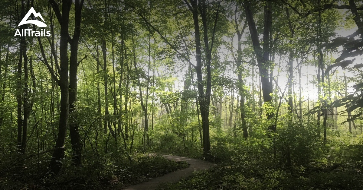 Best hikes and trails in Ada Township | AllTrails
