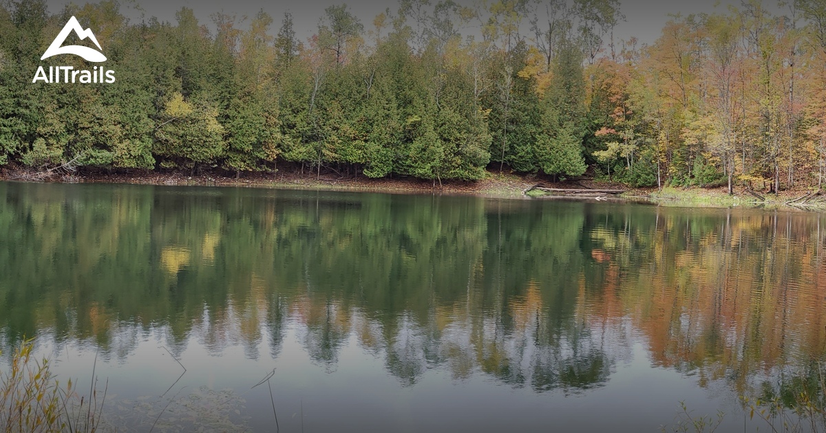 Best hikes and trails in Alpena | AllTrails