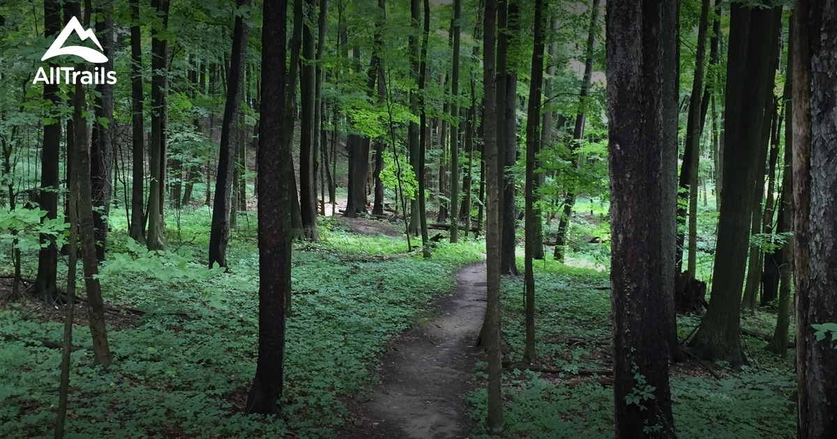 Best hikes and trails in Alto | AllTrails