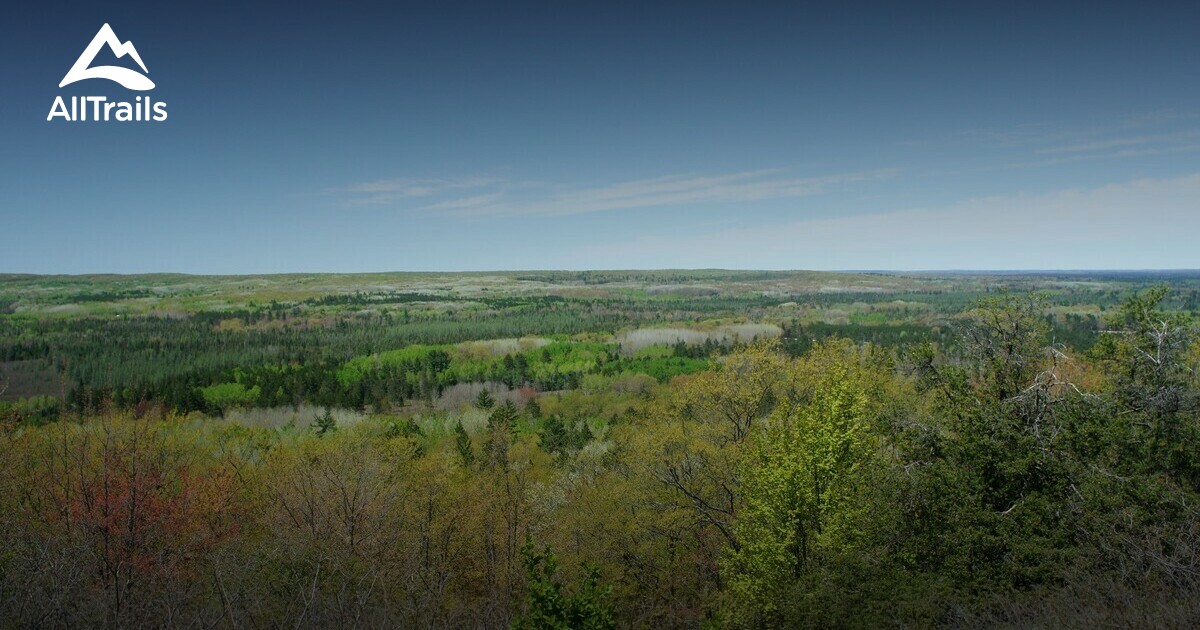 Best forest trails in Atlanta | AllTrails