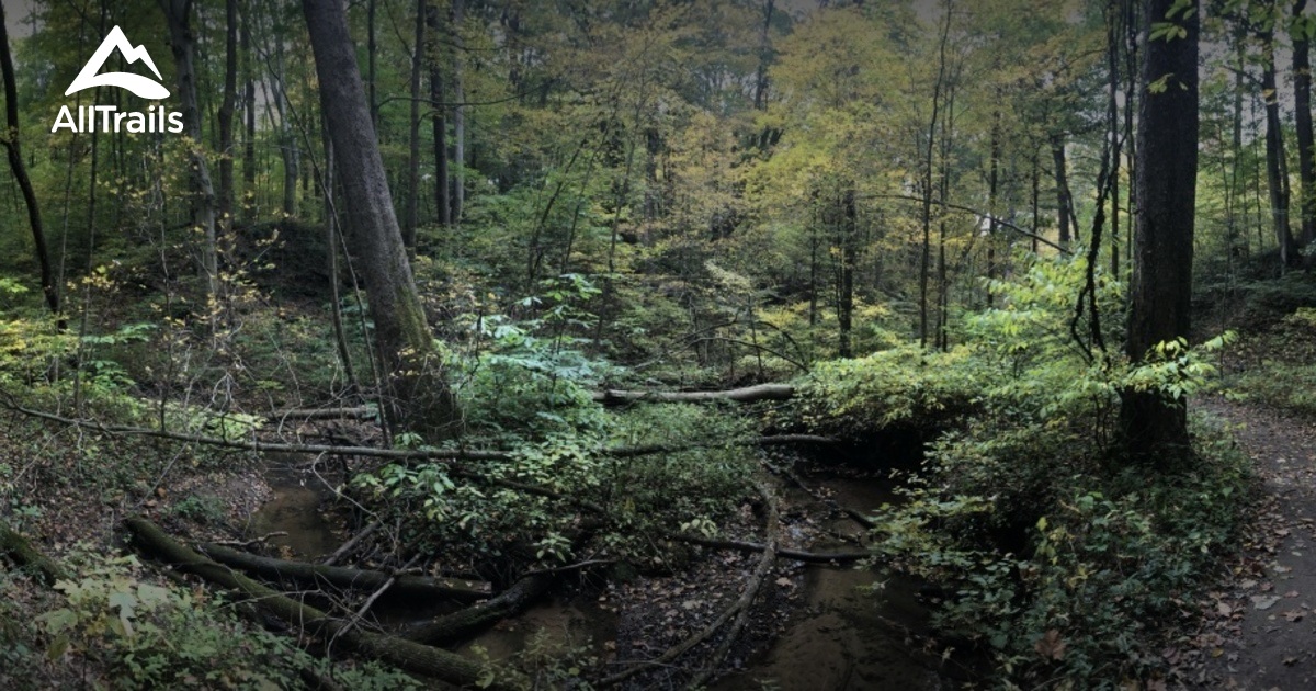 Best hikes and trails in Berrien Center | AllTrails