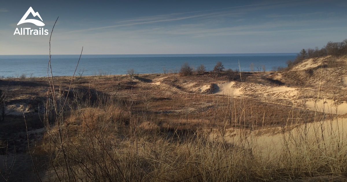 Best bird watching trails in Bridgman | AllTrails