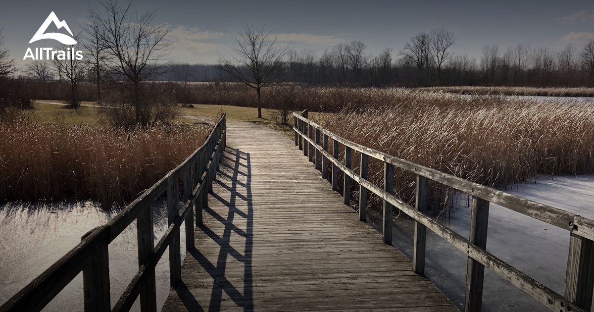 Best forest trails in Carleton | AllTrails