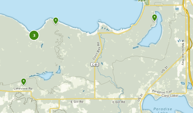 Best Trails near Carp Lake, Michigan | AllTrails