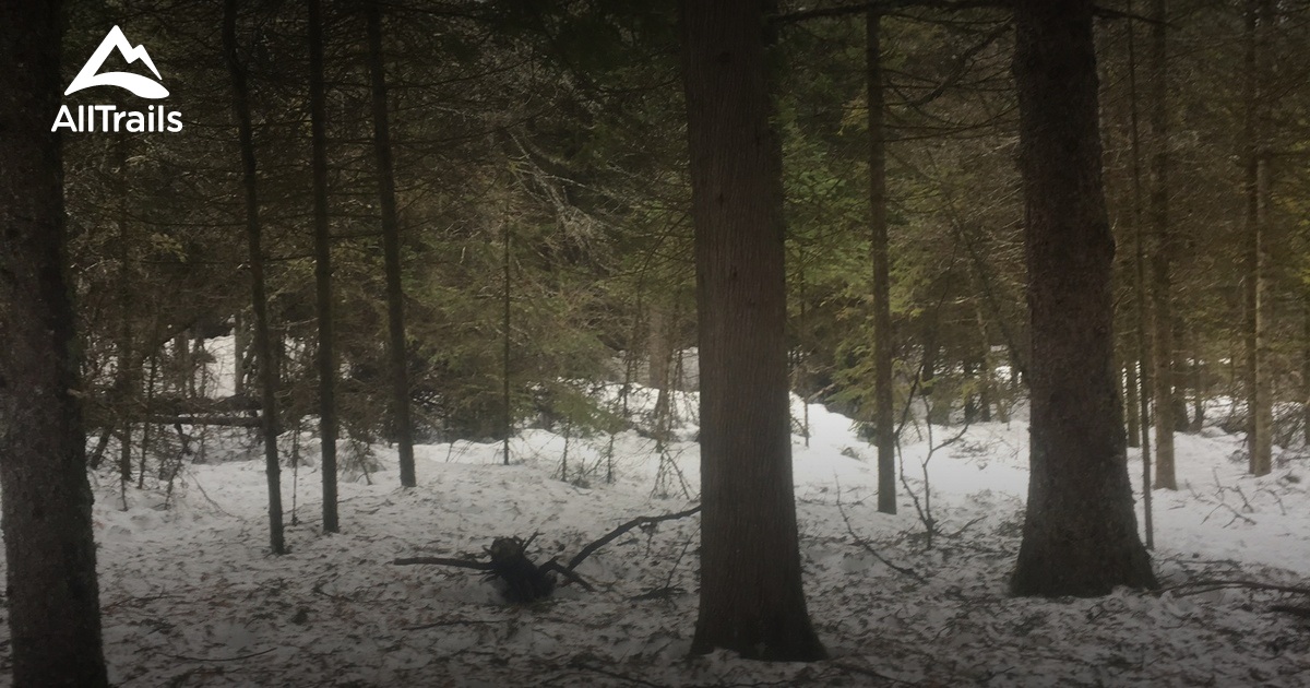 Best hikes and trails in Cedarville | AllTrails