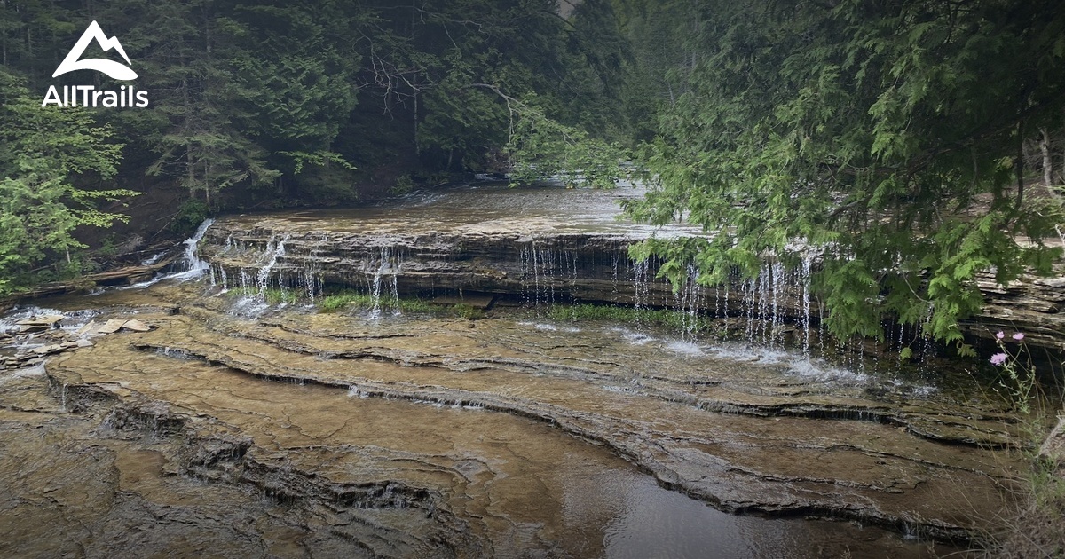 Best hikes and trails in Chatham | AllTrails