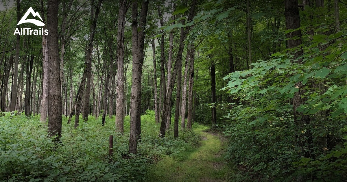 Best forest trails in Clay | AllTrails