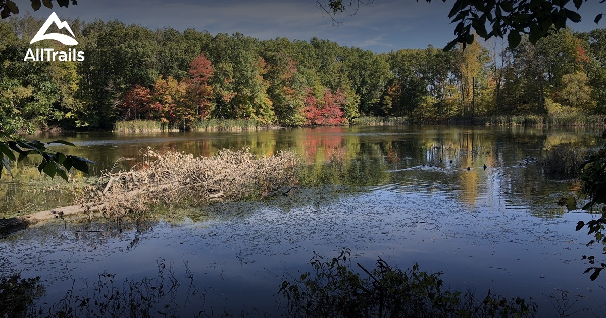 Best hikes and trails in Commerce | AllTrails