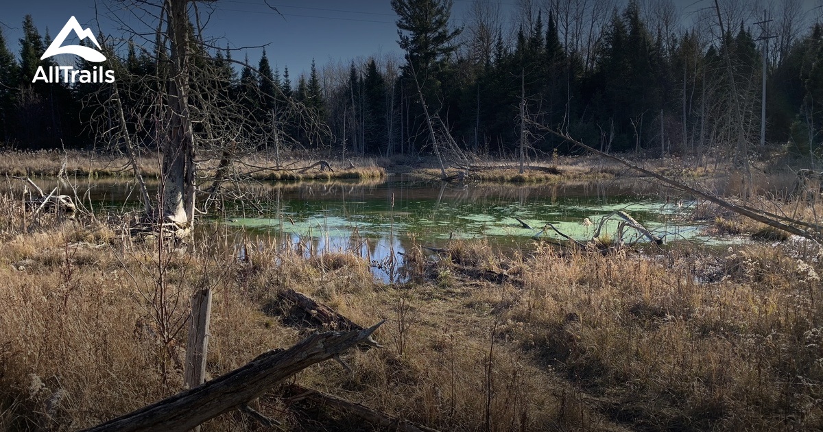 Best hikes and trails in Conway | AllTrails