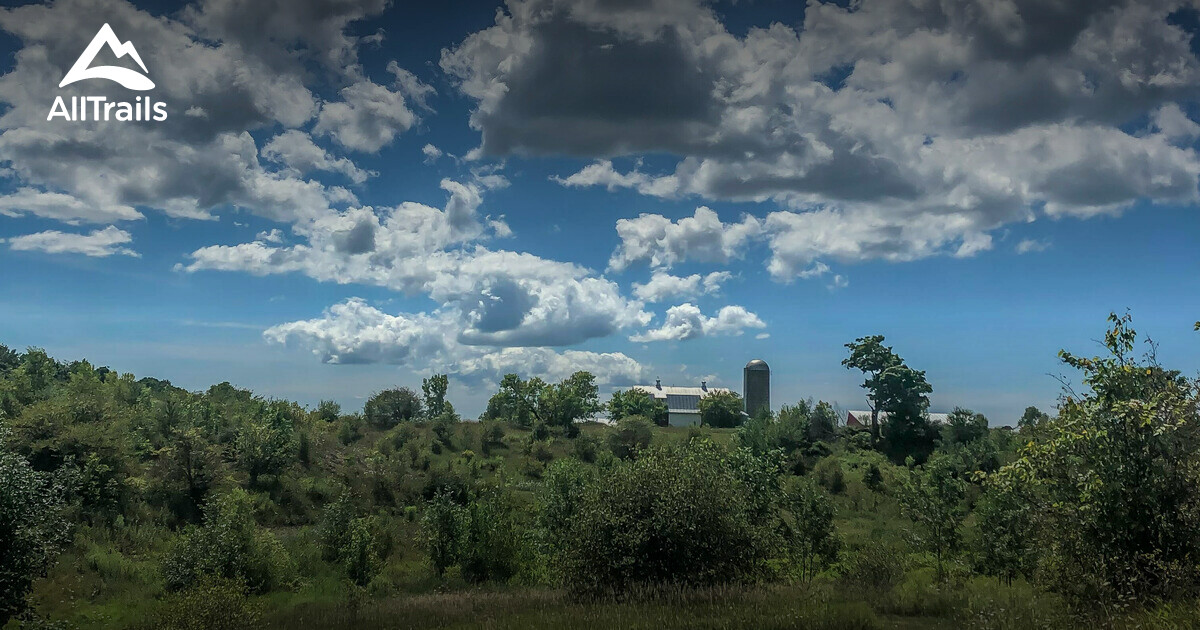 Best hikes and trails in Coopersville | AllTrails