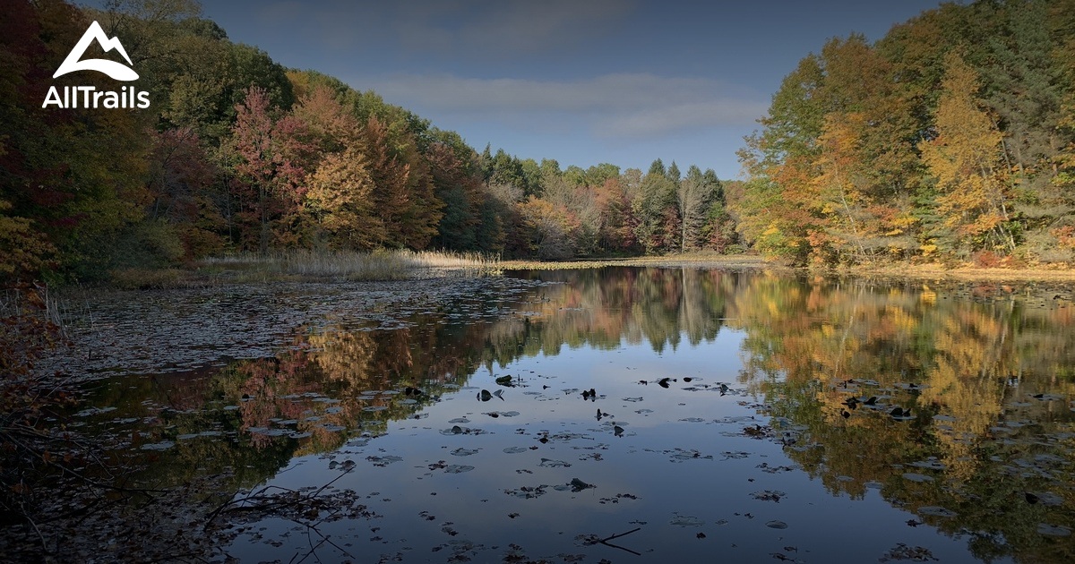 Best hikes and trails in Covert | AllTrails