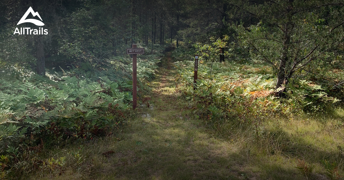 Best hikes and trails in Covington | AllTrails