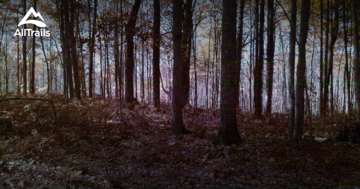 Best camping trails in Curran | AllTrails