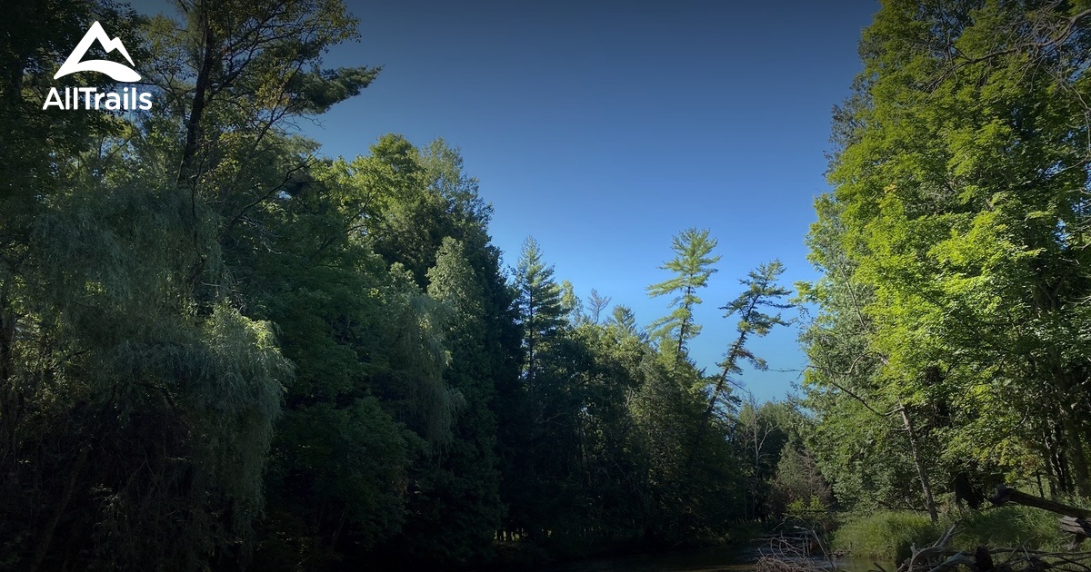 Best hikes and trails in Custer | AllTrails