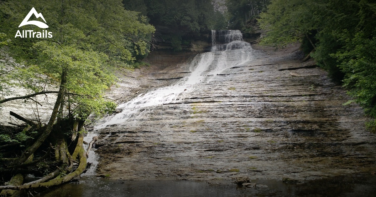 Best forest trails in Eben Junction | AllTrails