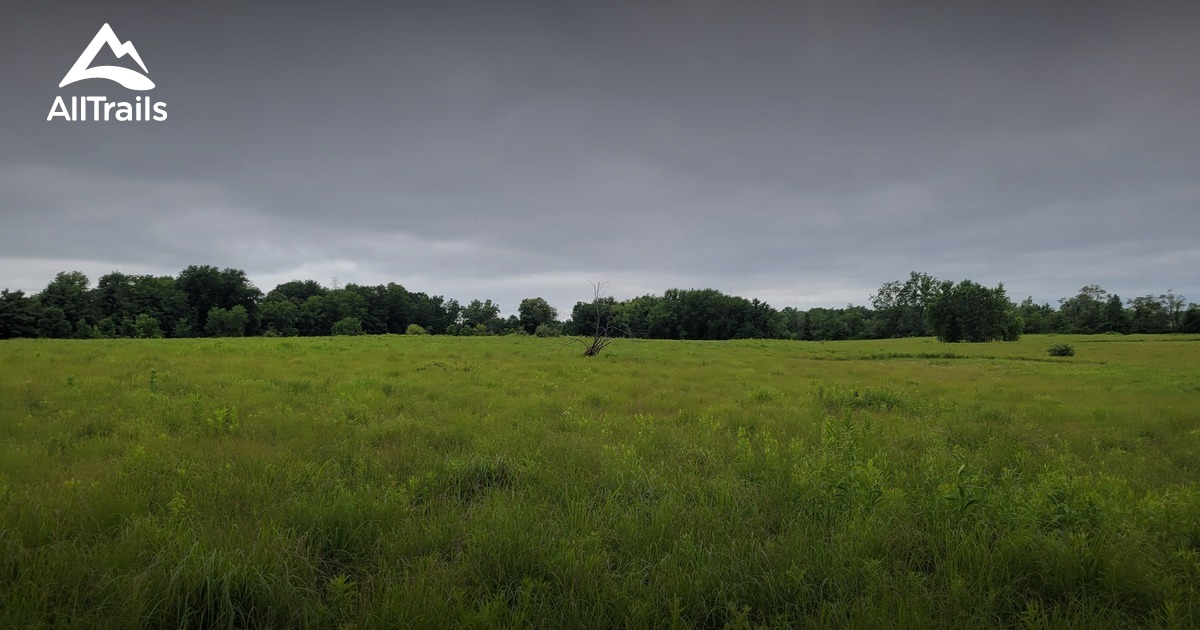 Best hikes and trails in Galien | AllTrails