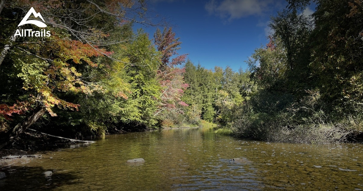 Best hikes and trails in Germfask | AllTrails