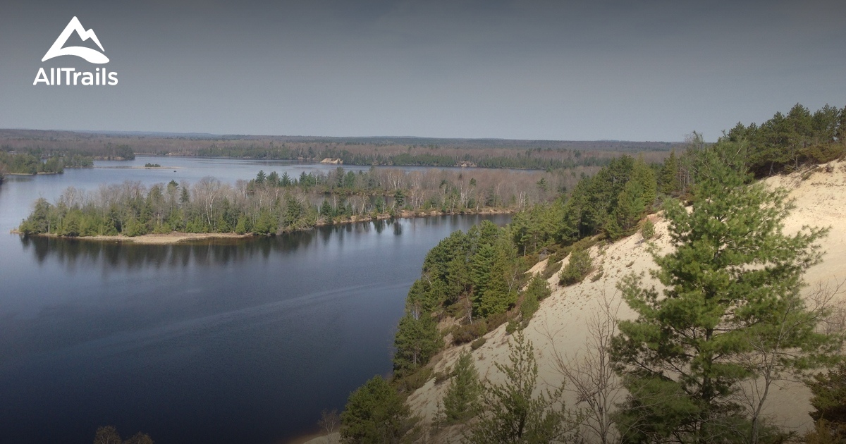 Best forest trails in Hale | AllTrails