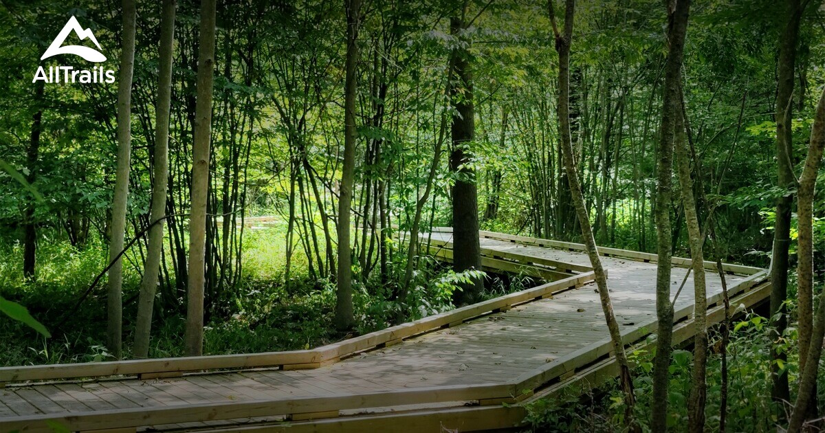 Best hikes and trails in Hamilton | AllTrails