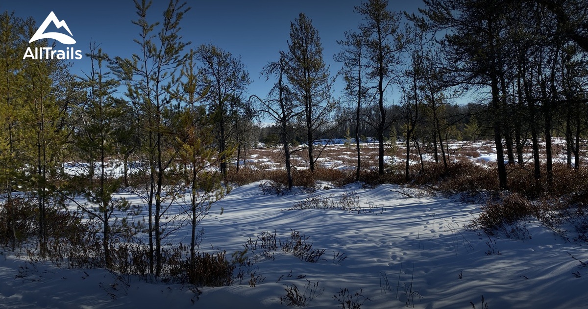 Best hikes and trails in Higgins Lake | AllTrails