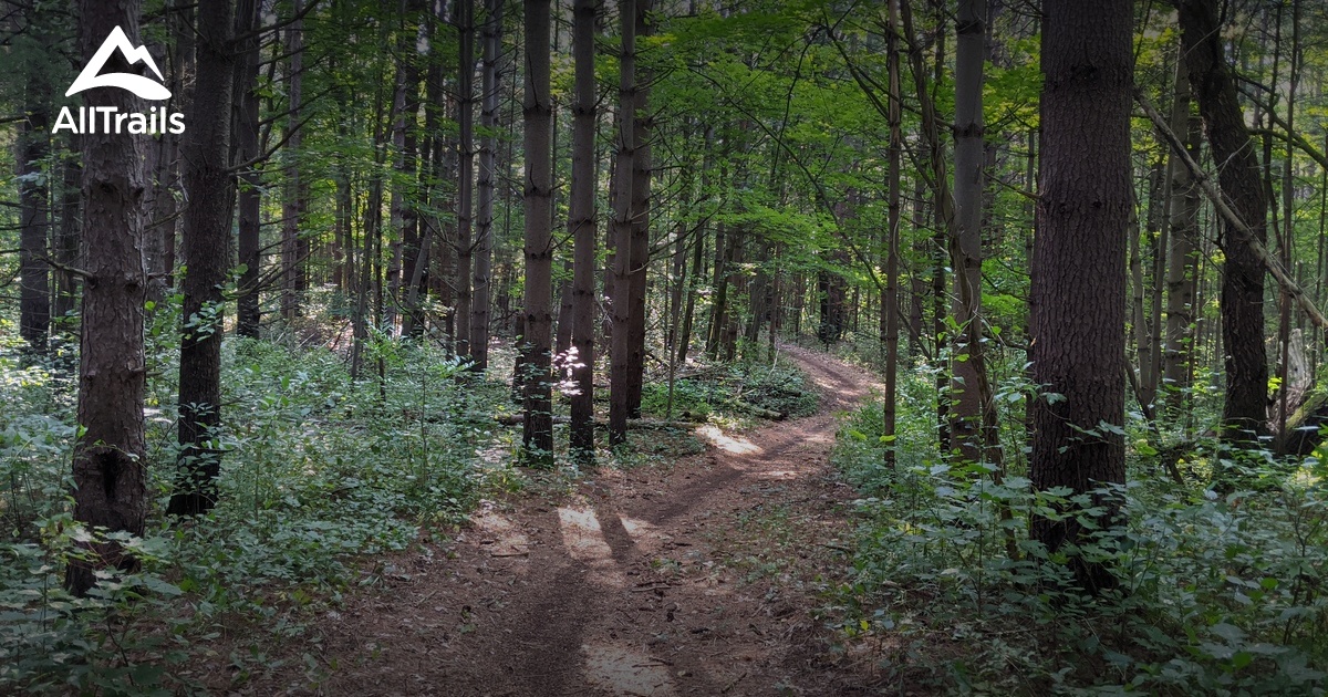 Best hikes and trails in Highland | AllTrails