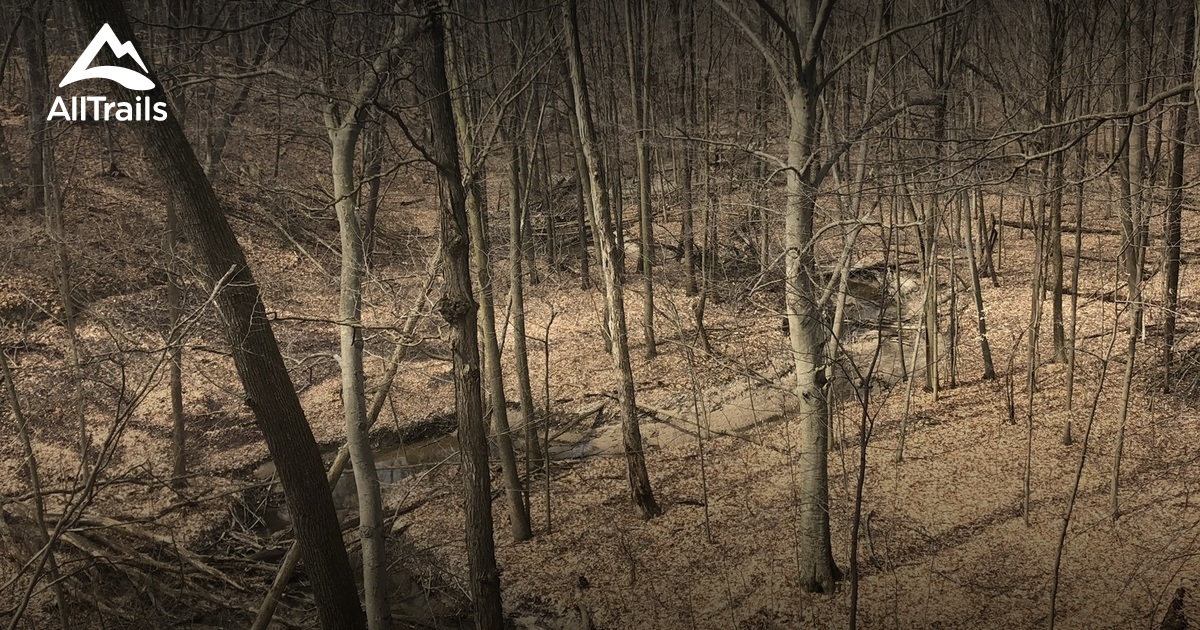 Best hikes and trails in Hudsonville | AllTrails