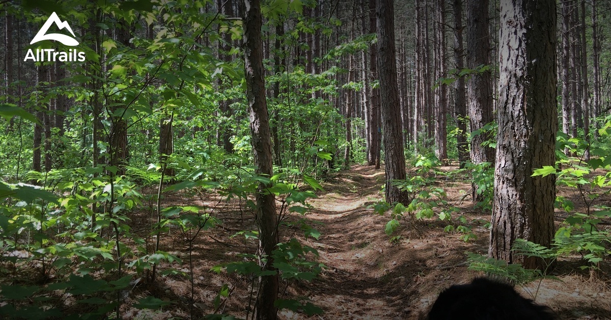 Best hikes and trails in Irons | AllTrails