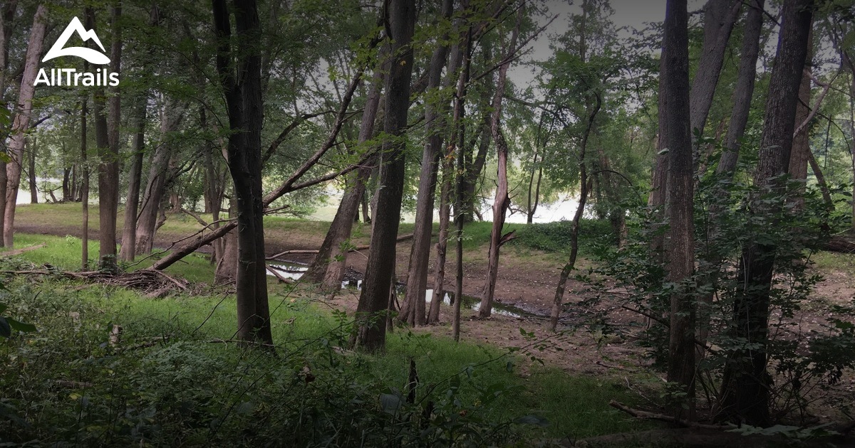 Best Trails near Jenison, Michigan | AllTrails