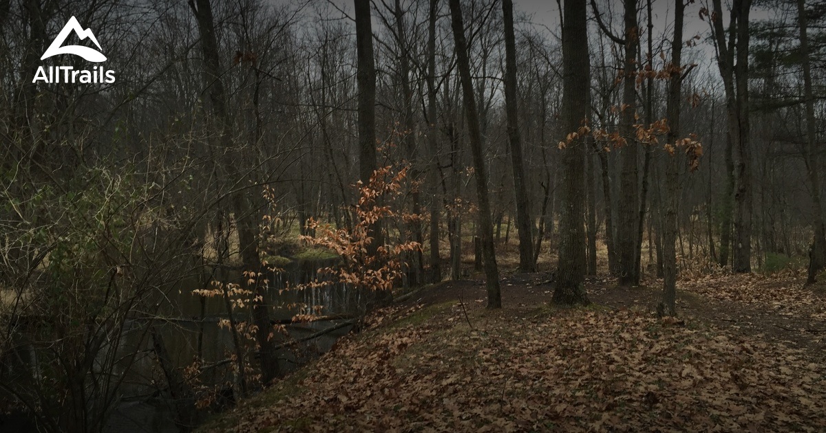 Los mejores senderos aptos para niños en Kent City | AllTrails