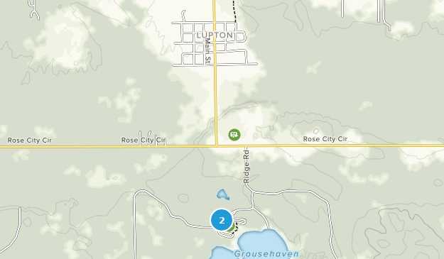 Best Trails near Lupton, Michigan | AllTrails