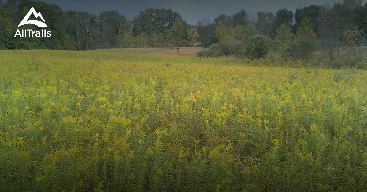 Best forest trails in Manchester | AllTrails