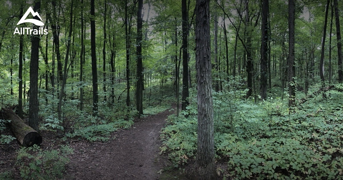 Best hikes and trails in Milan | AllTrails