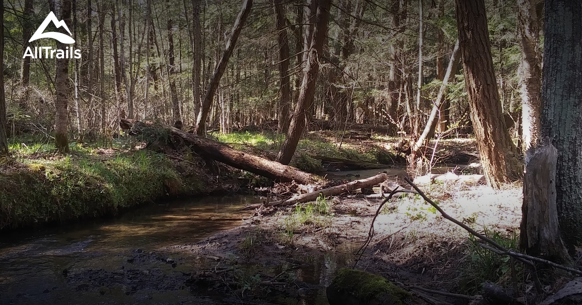 Best hikes and trails in Millington | AllTrails