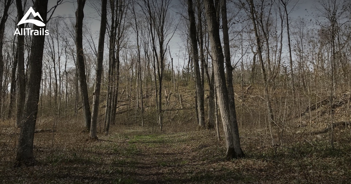 Best hikes and trails in Moran | AllTrails