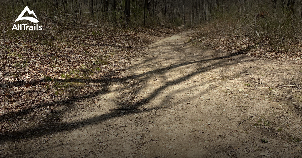 Best hikes and trails in North Branch | AllTrails