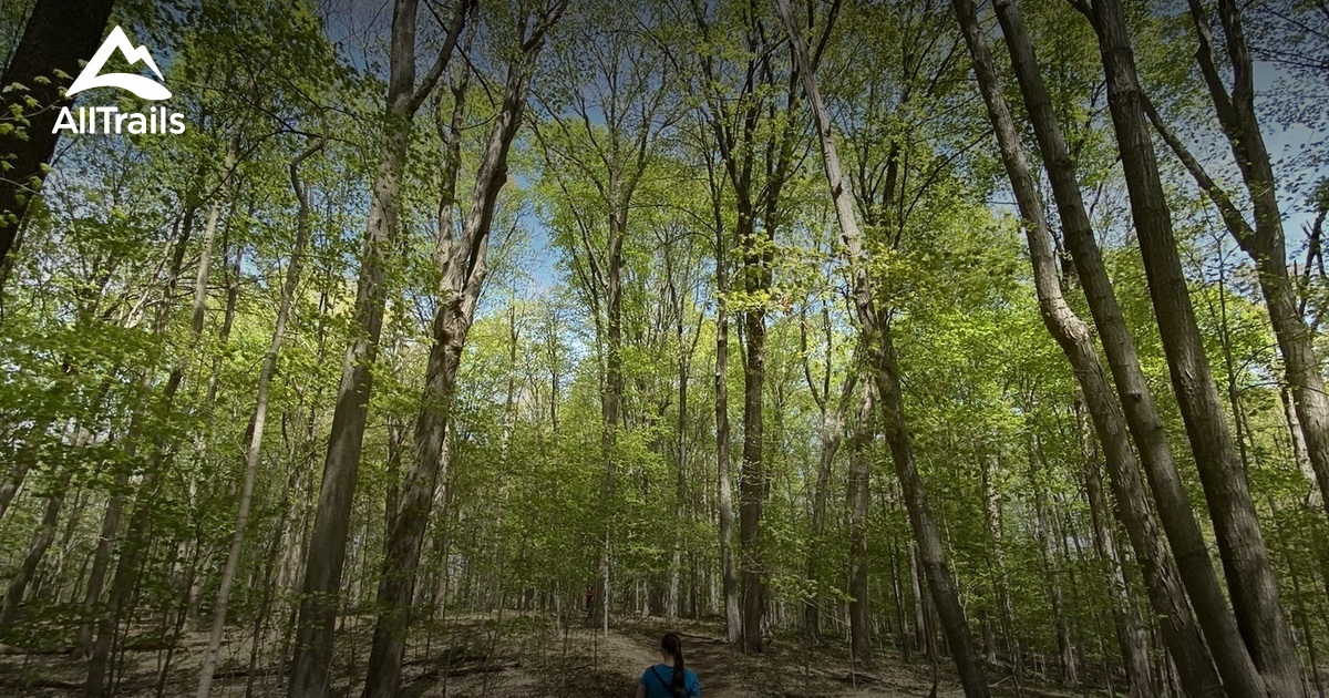 Best hikes and trails in Novi | AllTrails