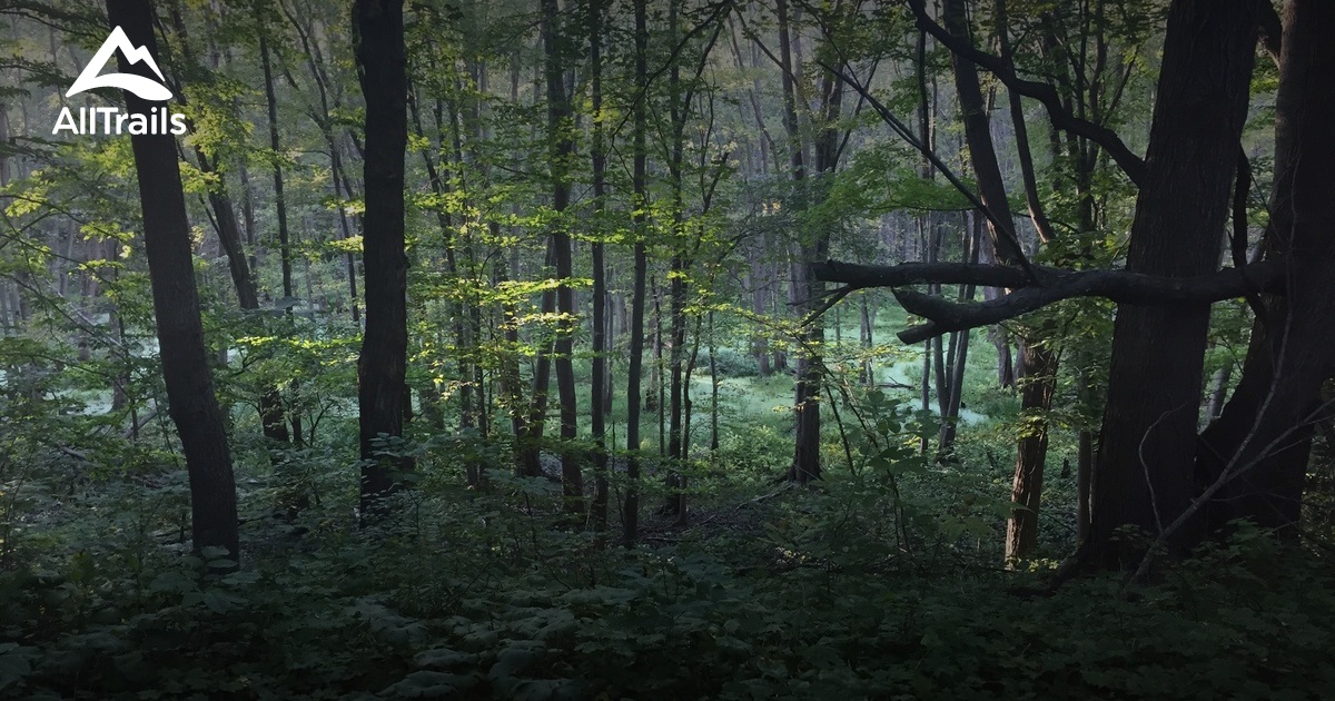 10 Best trails and hikes in Okemos | AllTrails