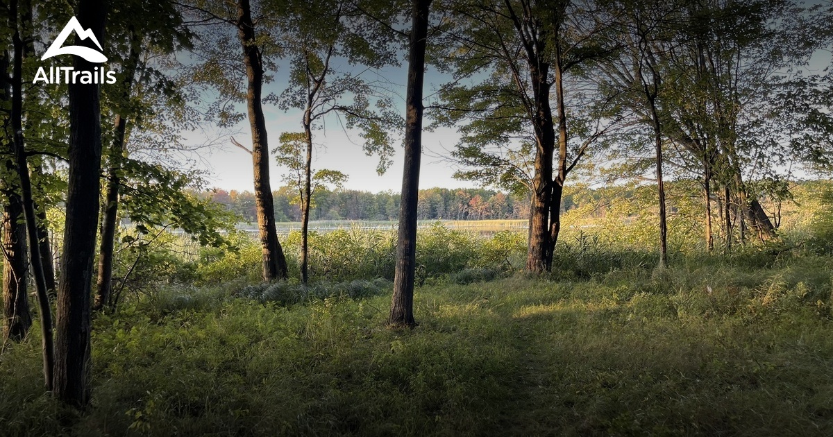 Best hikes and trails in Pigeon | AllTrails