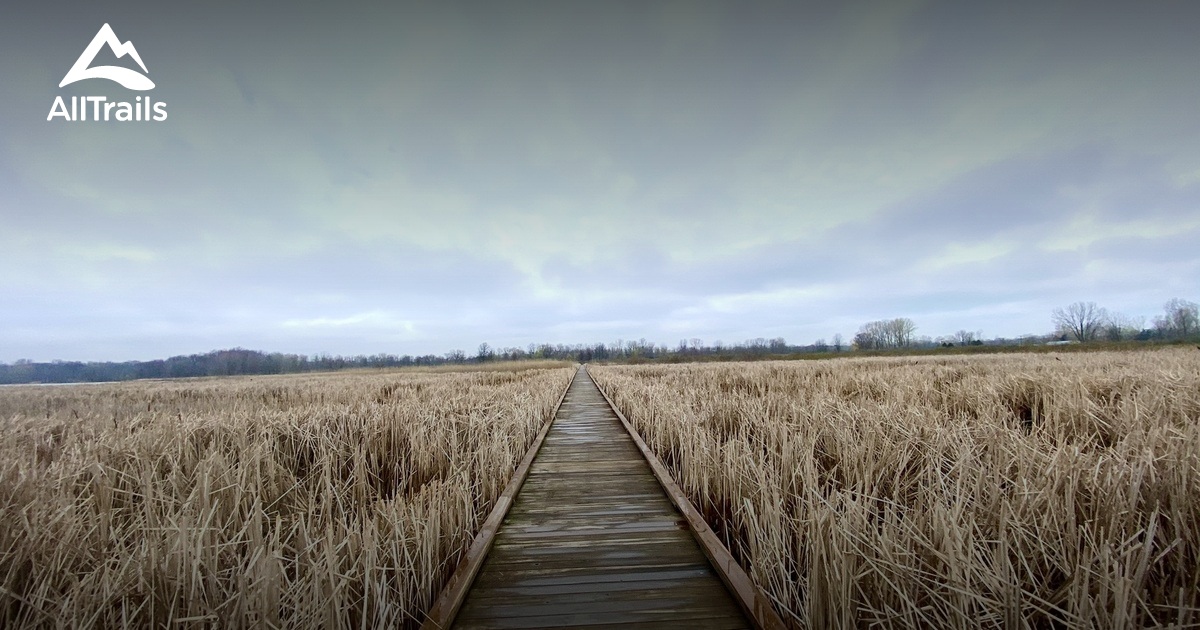 Best hikes and trails in Pinconning | AllTrails