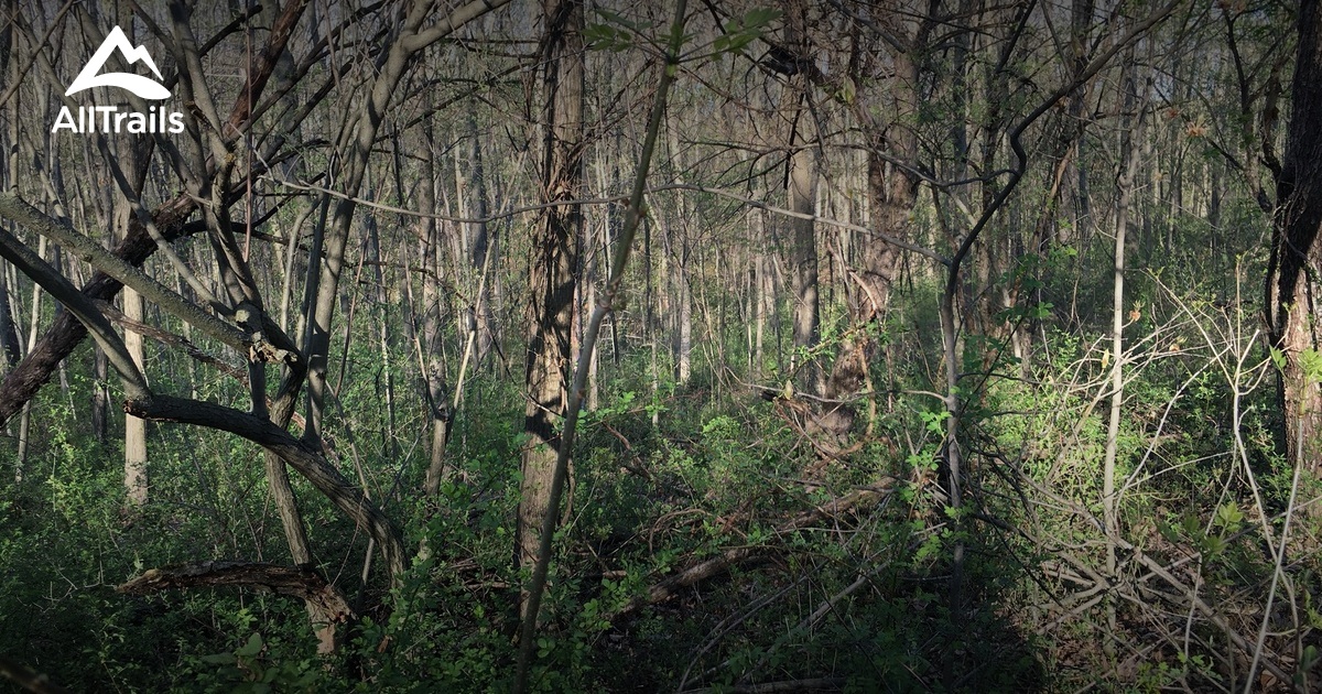 Best river trails in Portland | AllTrails