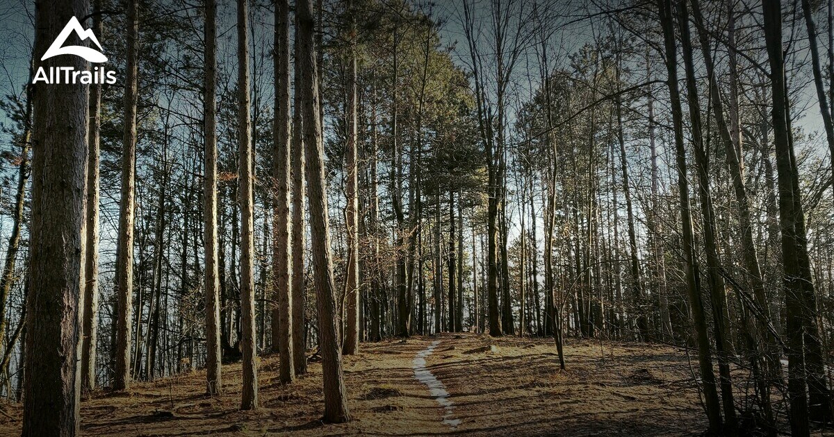 Best hikes and trails in Remus | AllTrails