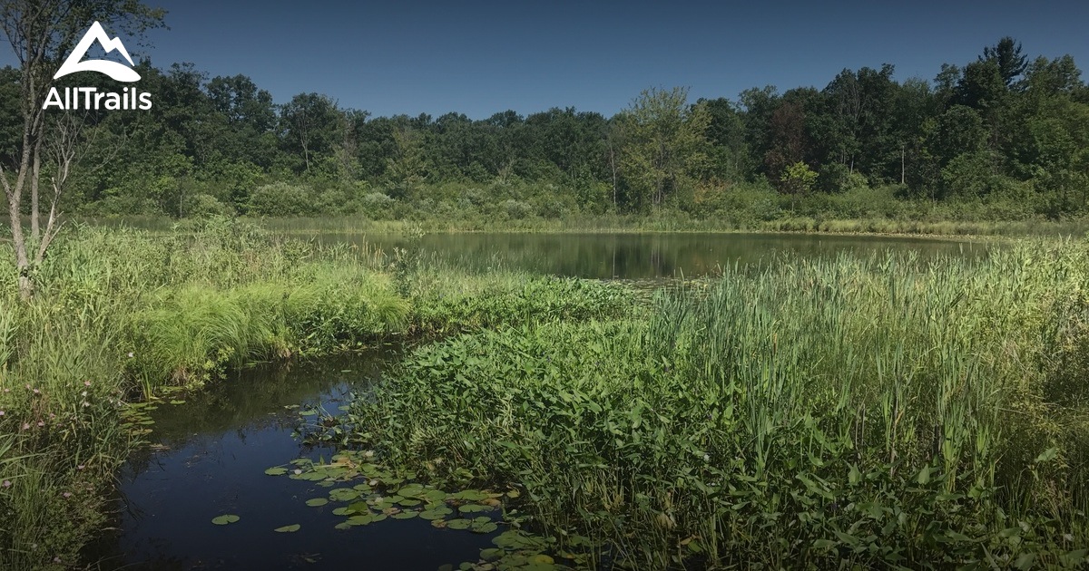 10 Best trails and hikes in Rochester | AllTrails