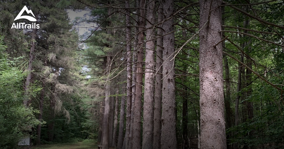 De beste skogsstiene i St. Charles | AllTrails