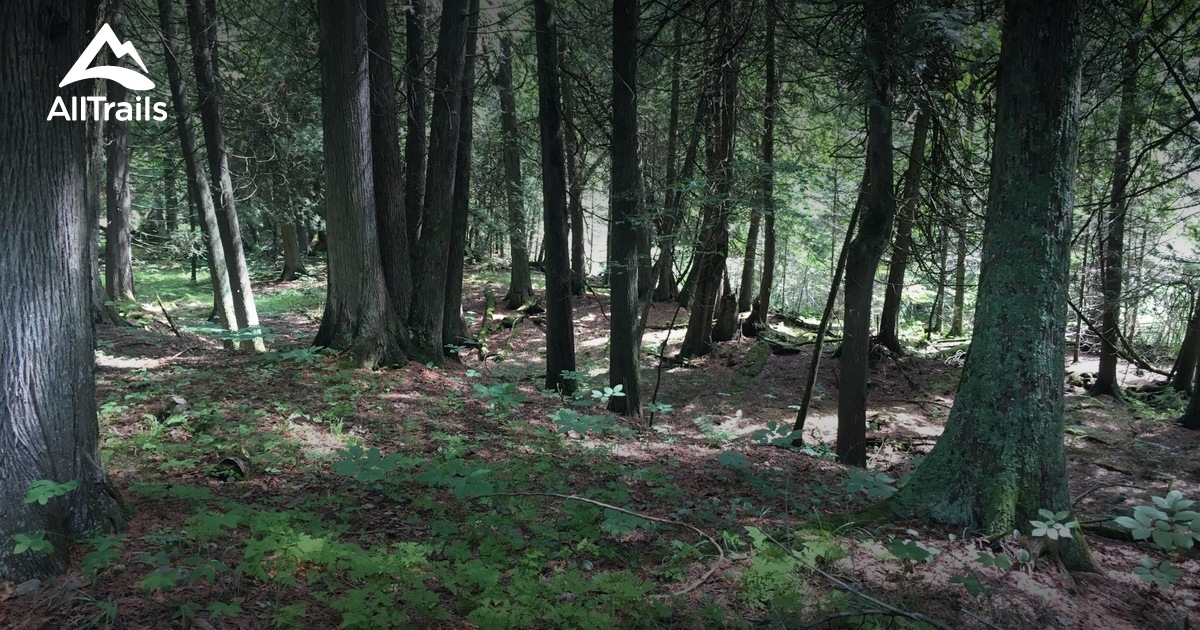 Best hikes and trails in Stephenson | AllTrails