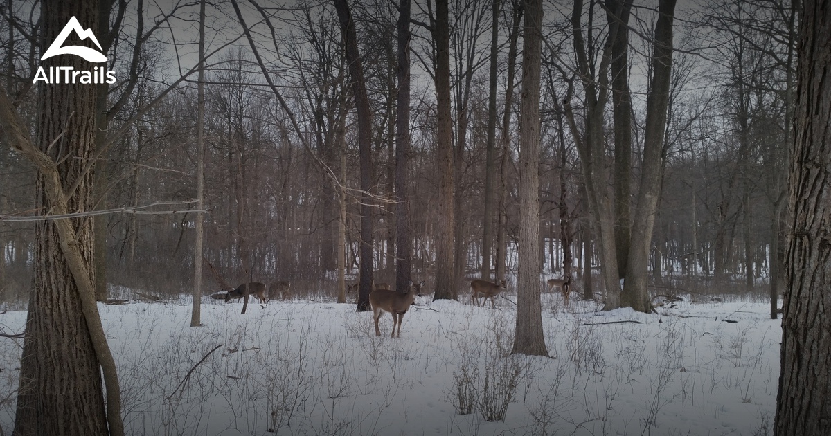 Best hikes and trails in Troy | AllTrails