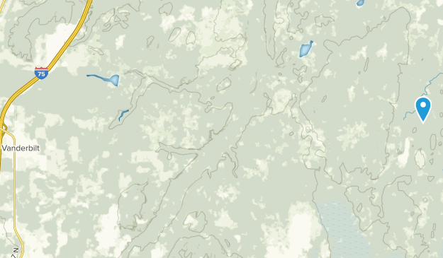 Best Trails near Vanderbilt, Michigan | AllTrails