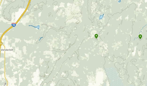 Best Trails near Vanderbilt, Michigan | AllTrails