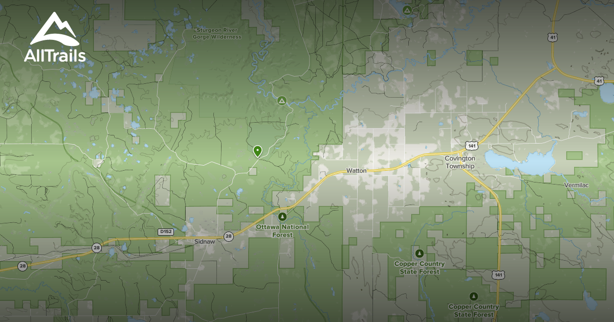 Best wildflower trails in Watton | AllTrails