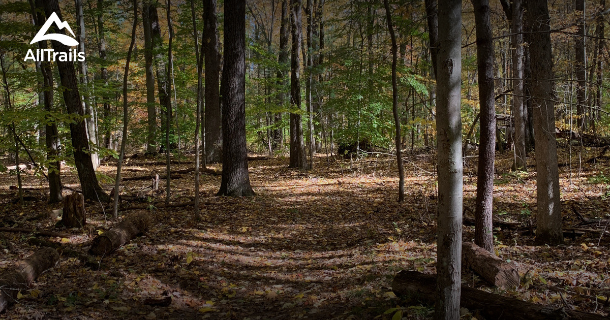 Best walking trails in Wayland | AllTrails